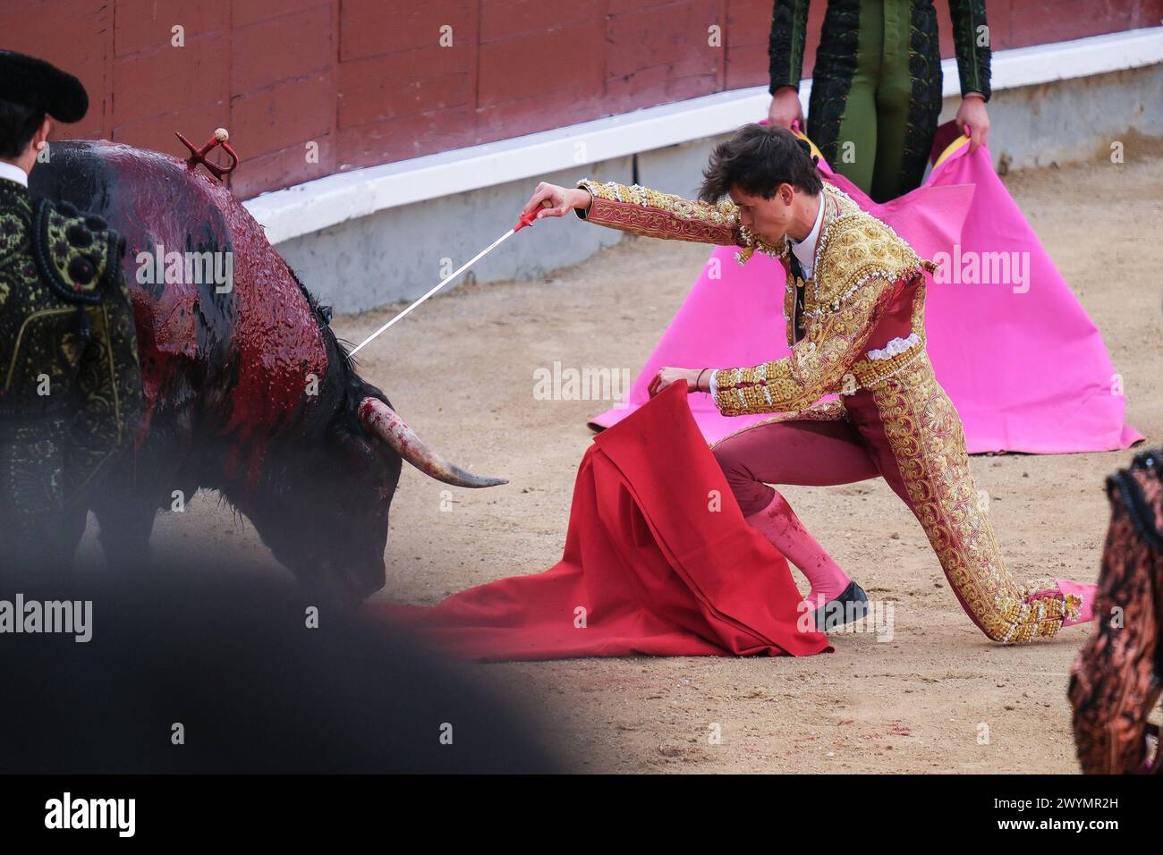 the bullfighter Daniel Medina during the bullfight of Corrida de Toros ...