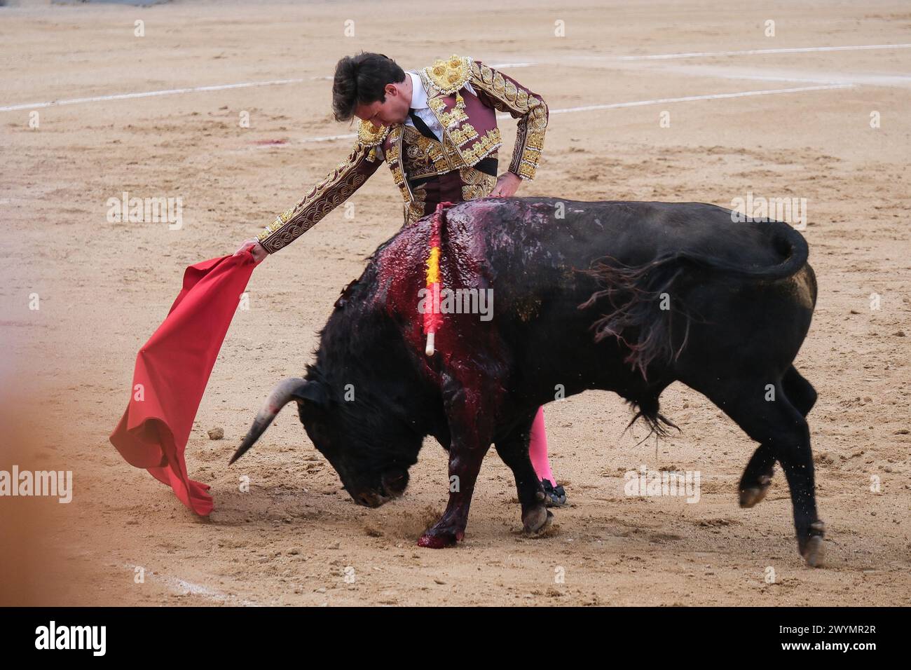 the bullfighter Fabio Jimenez during the bullfight of Corrida de Toros ...