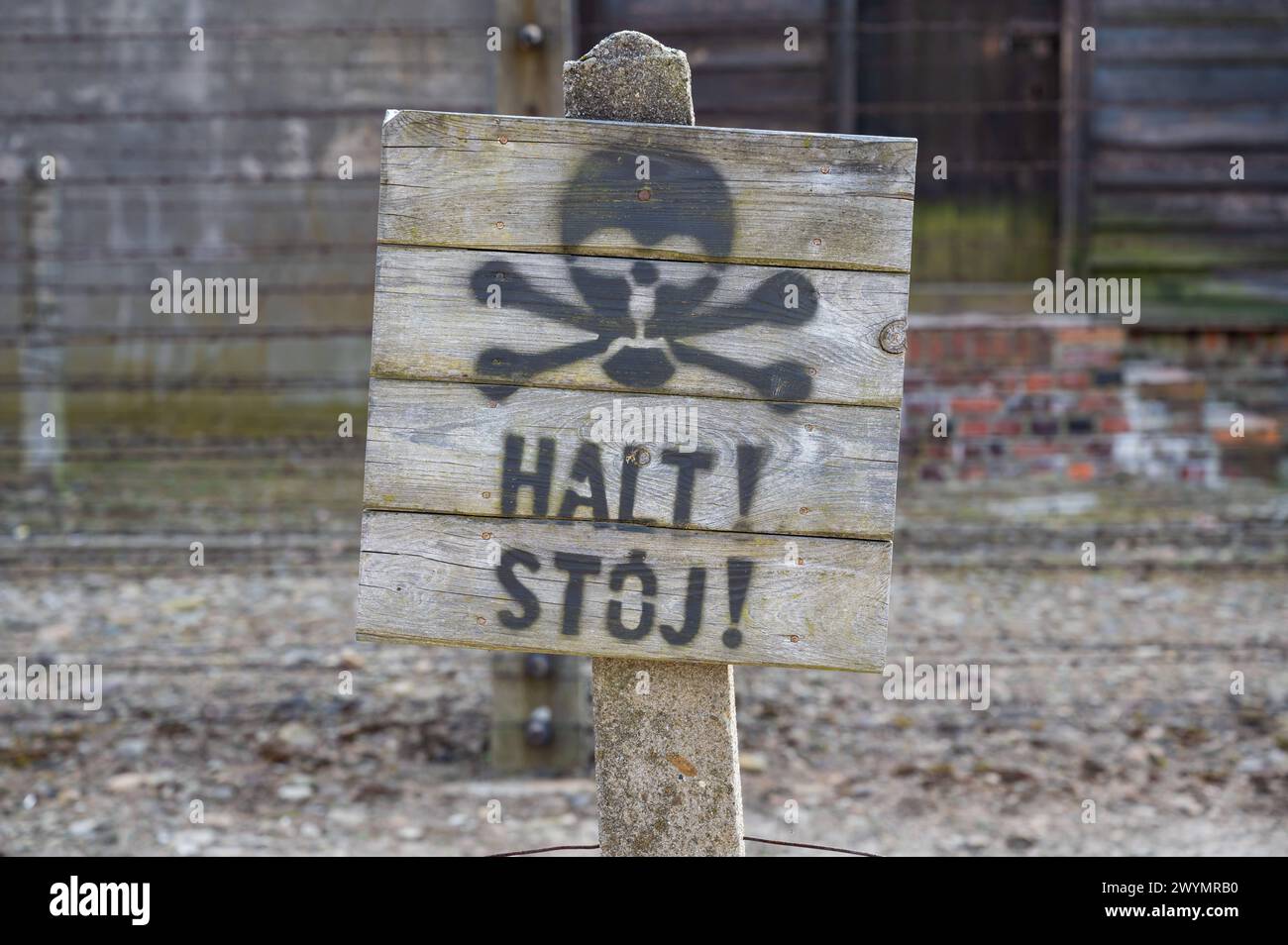 Auschwitz, Poland, March 21, 2024 - Stop sign in English and Polish ...