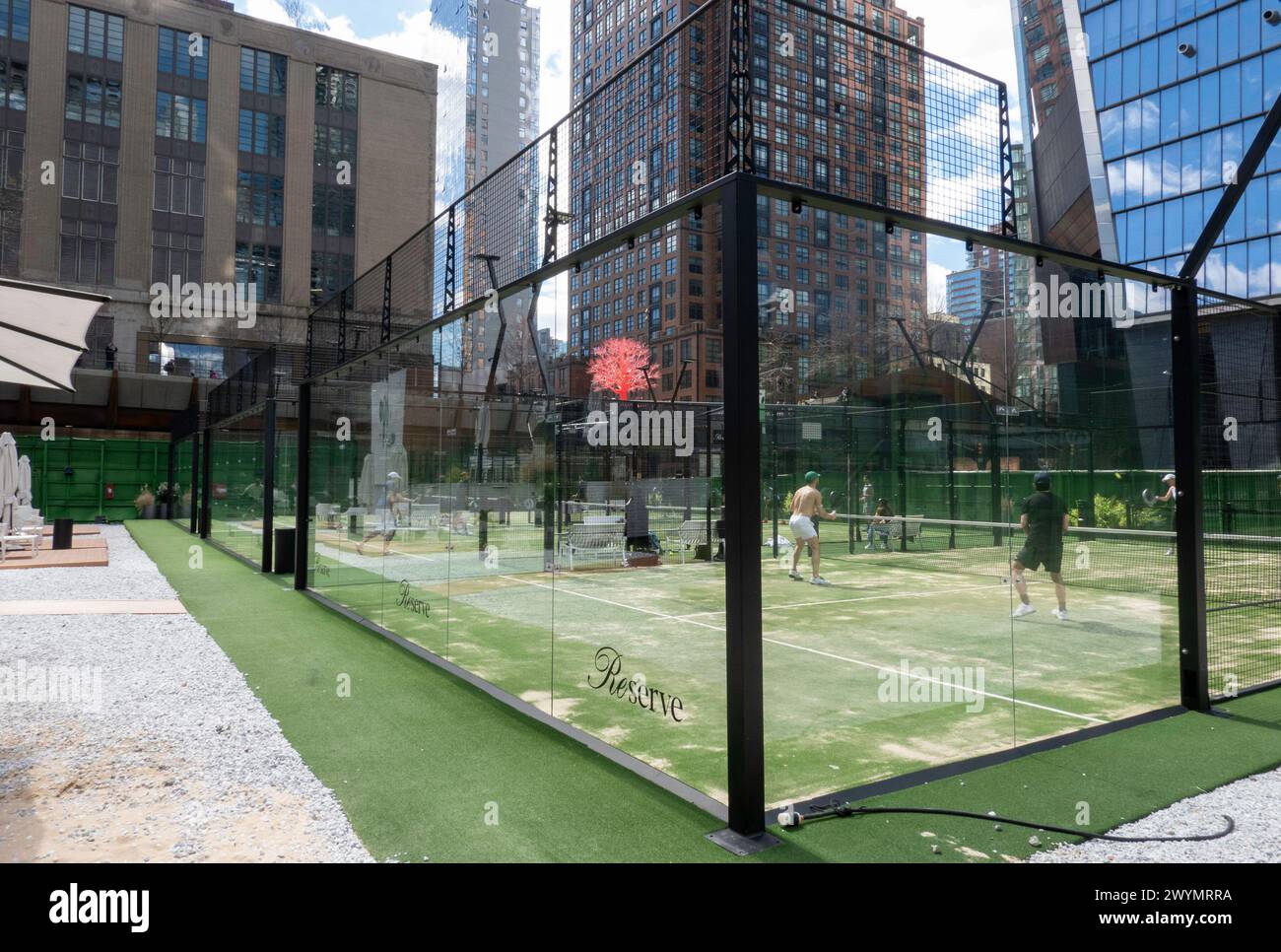 Pickleball Courts in Hudson Yards with the old tree pink sculpture on ...
