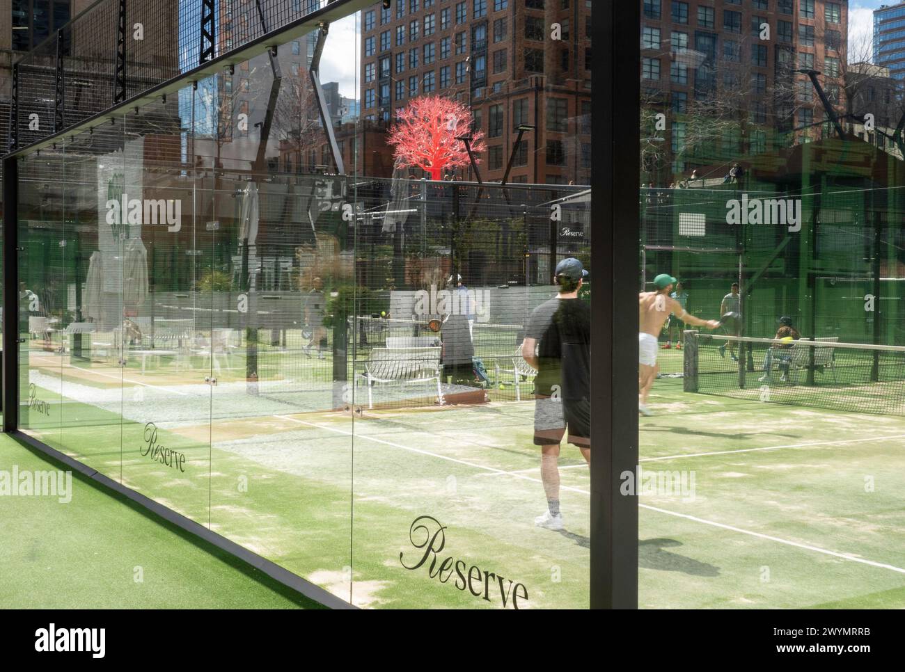 Pickleball Courts in Hudson Yards with the old tree pink sculpture on ...