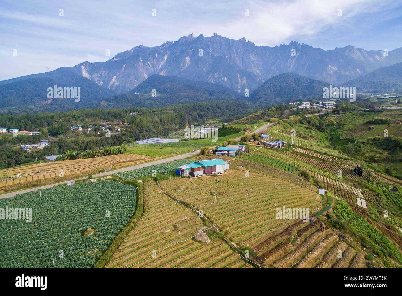 aerial view of Kundasang Sabah landscape with cabbage farm and Mount ...