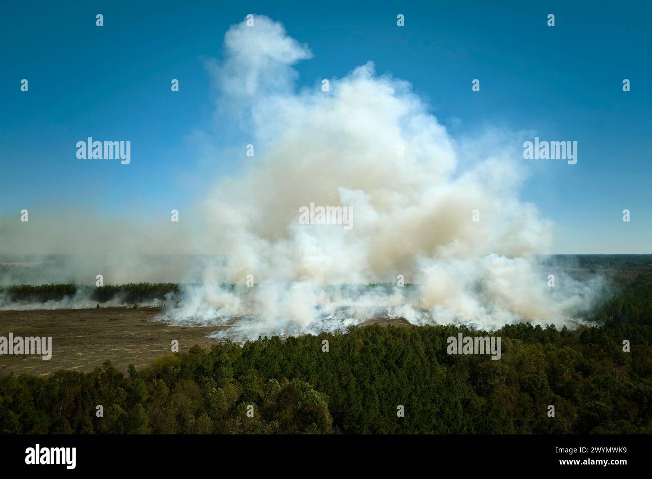 Aerial view of white smoke from forest fire rising up polluting ...