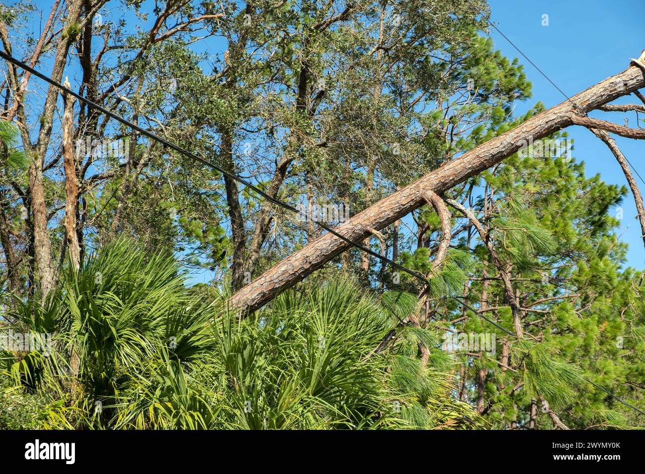 Electricity cable obstruction hi-res stock photography and images - Alamy