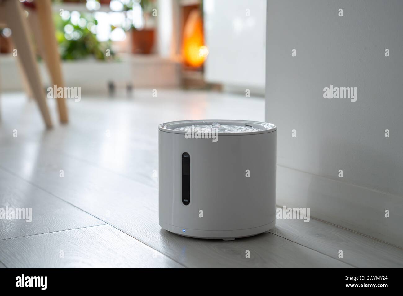 Automatic electric pet water dispenser. Smart cat and small dog drinker ...