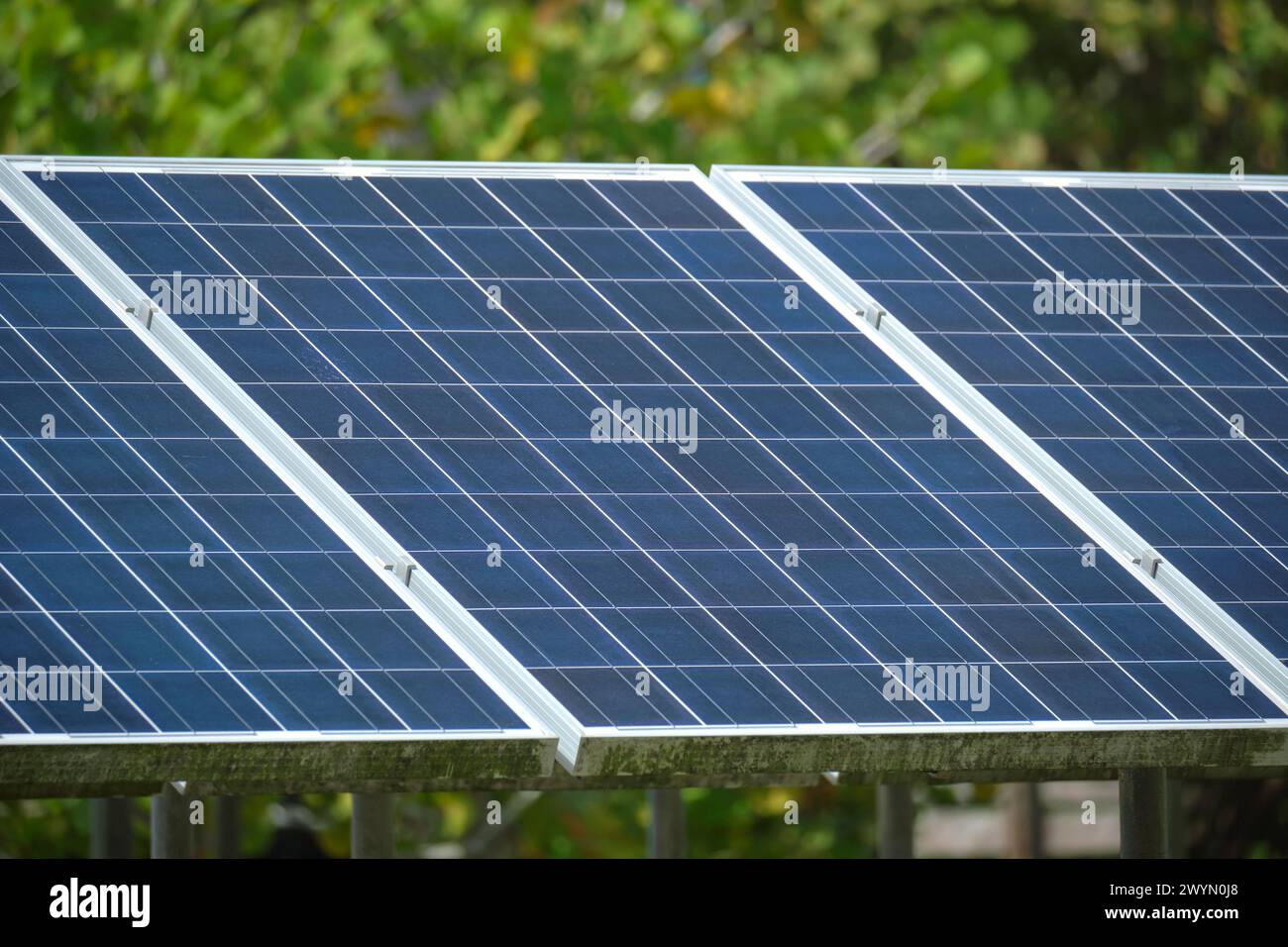 Solar photovoltaic panels mounted on stand-alone frame on backyard ...