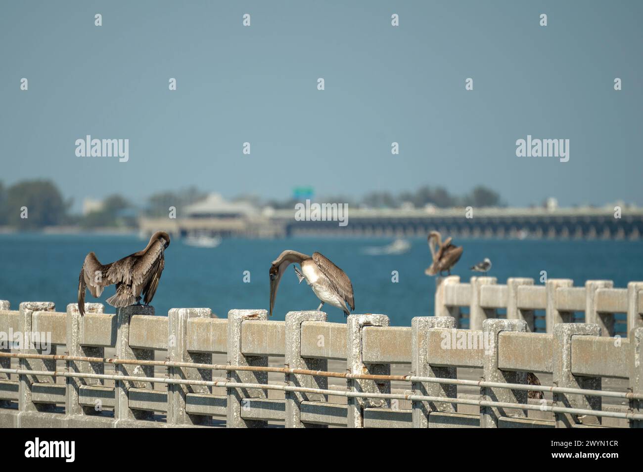 Sunshine skyway fishing pier hi-res stock photography and images - Alamy