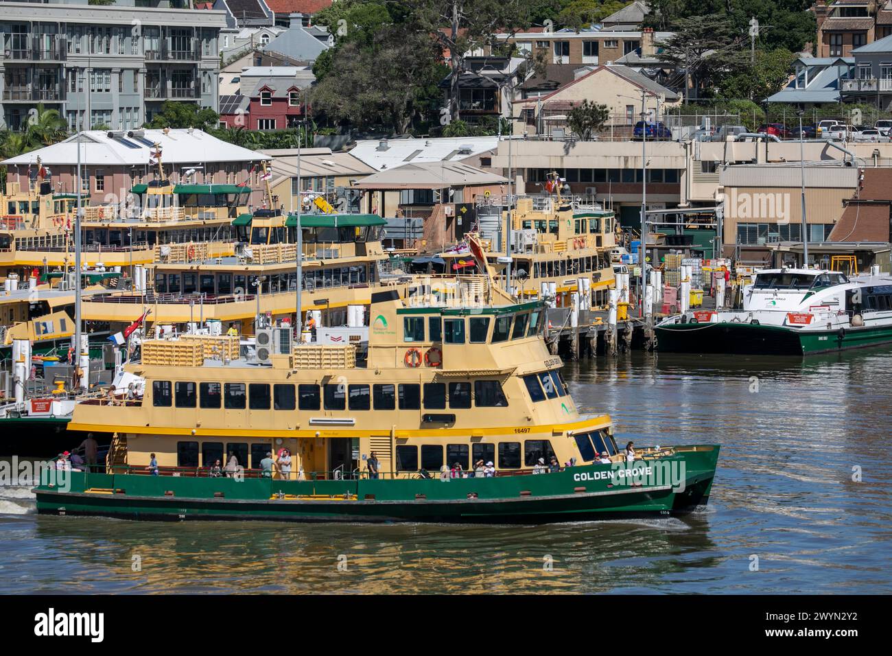 Sydney ferry,MV Golden Grove, a first fleet class ferry launched in ...