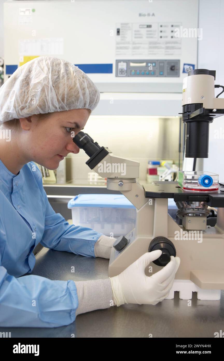 Analyzing samples in microscope. Quarantine zone (Grade C), clean room ...