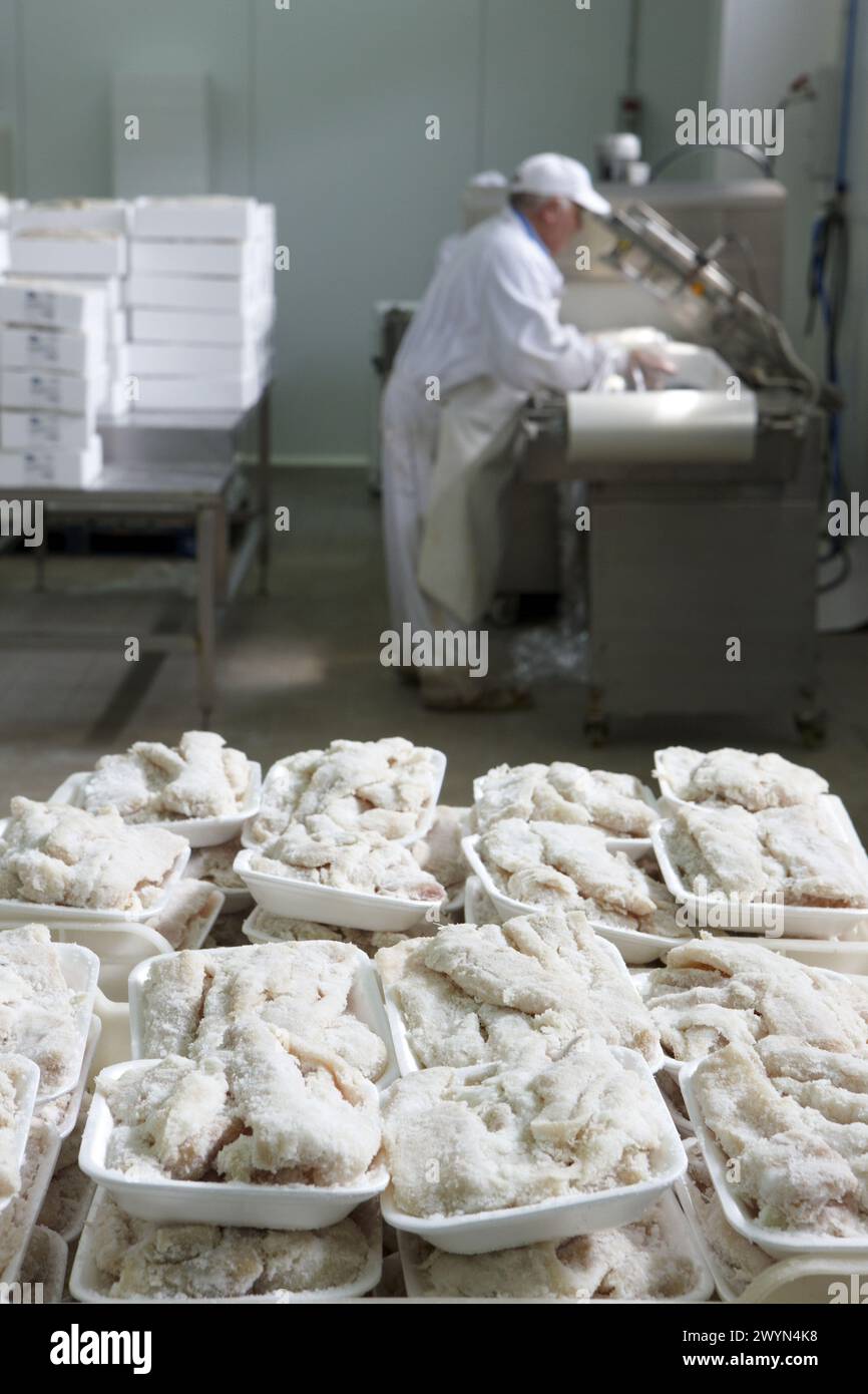 Manipulation of salt cod, refrigerated and frozen salt cod distribution ...
