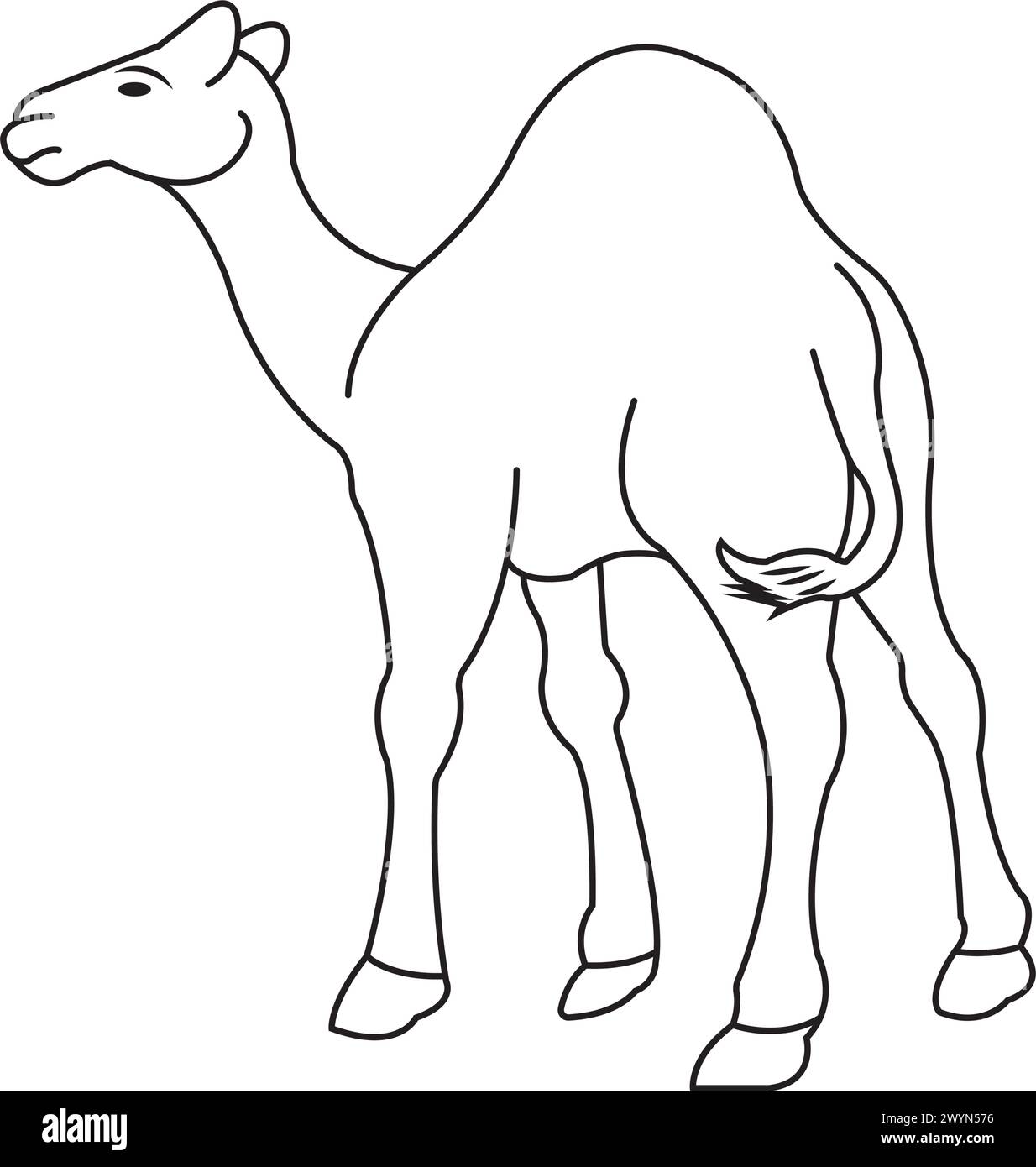 Camel logo vector illustration design Stock Vector Image & Art - Alamy