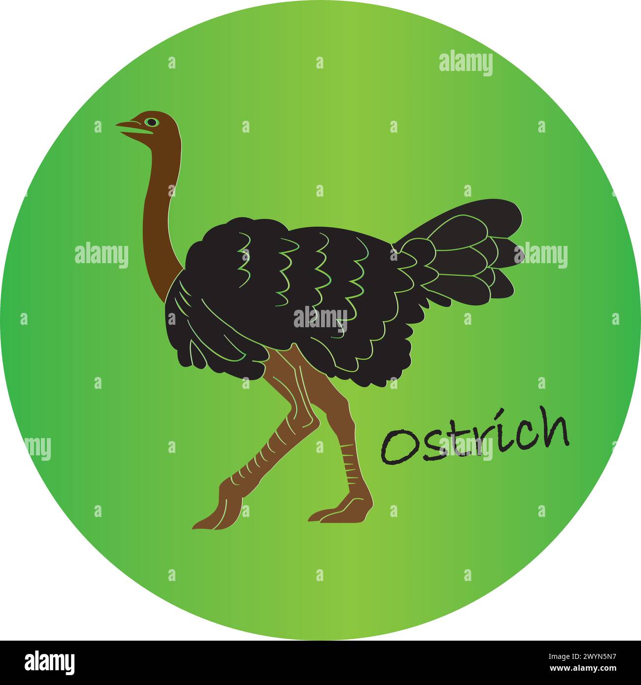 Ostrich emblem hi-res stock photography and images - Alamy