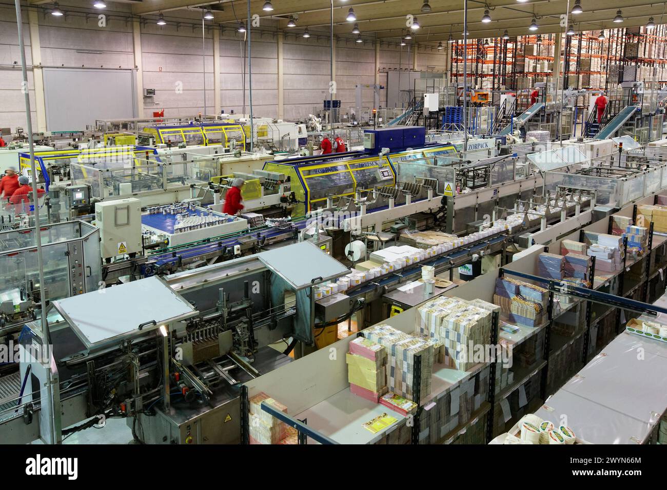 Labeling and packaging canned vegetables, Cans, Canning Industry, Agri ...