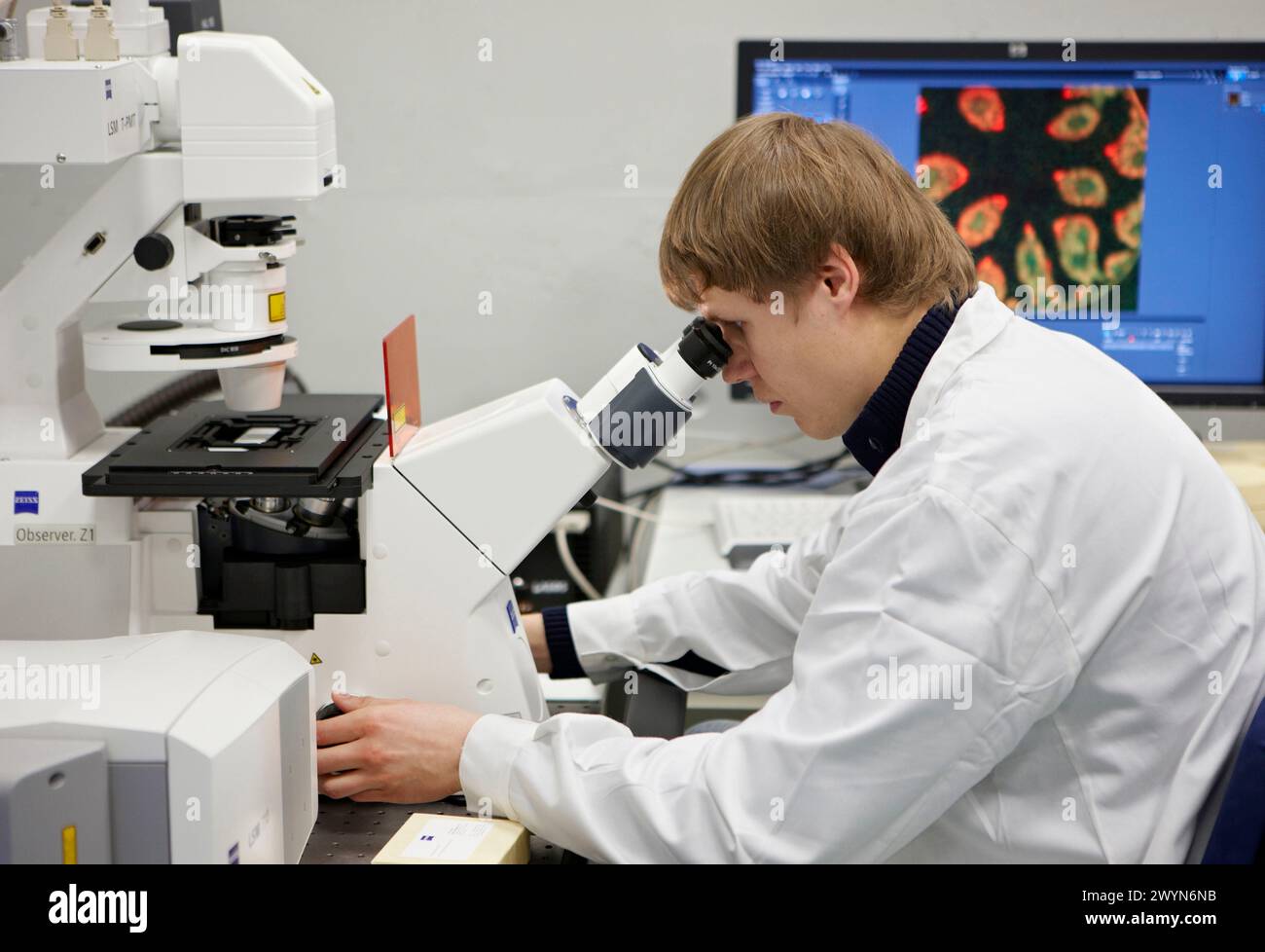 Analying fluorescent labelled samples, Characterization Laboratory ...