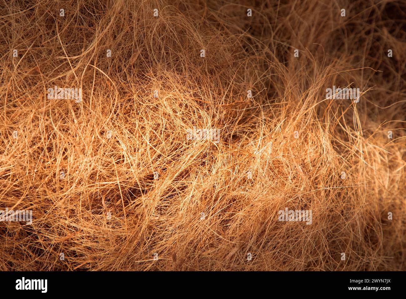Three stages of coconut coir rope making with traditional process ...