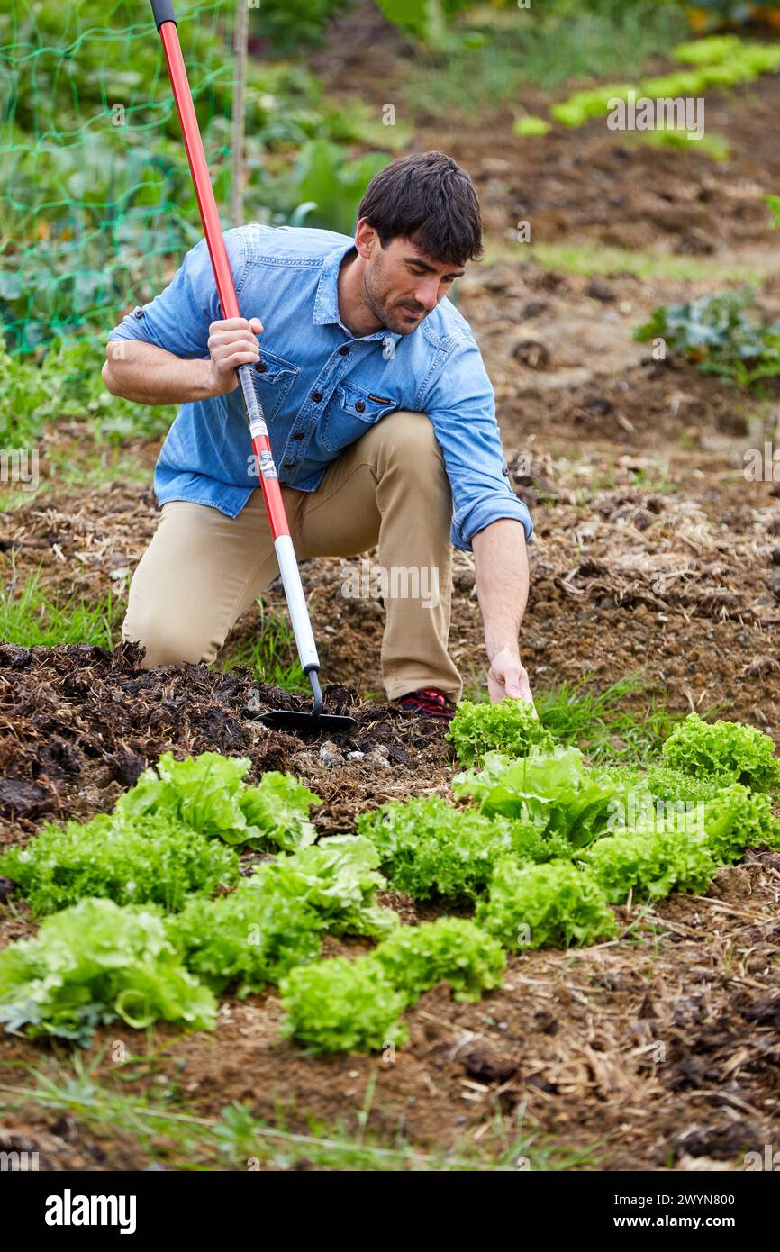 Farmer farming the land, Hoe, Urban vegetable garden, Urban orchards ...
