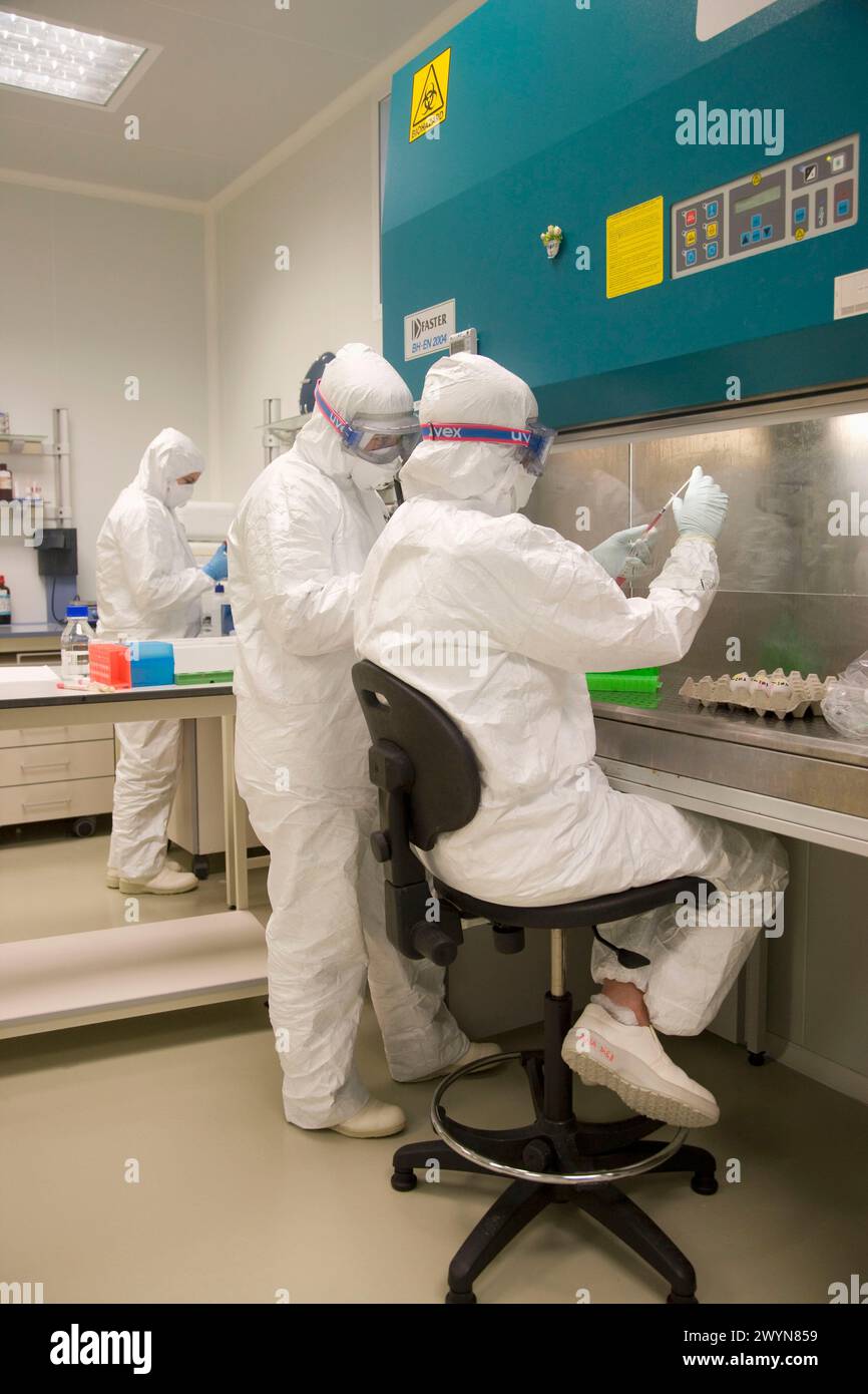 Egg inoculation, Laboratory of Bio-Safety Level P3, Departamento de ...