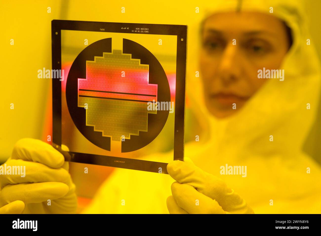 Inasmet-Tecnalia Foundation, Technology and Research Centre, San ...