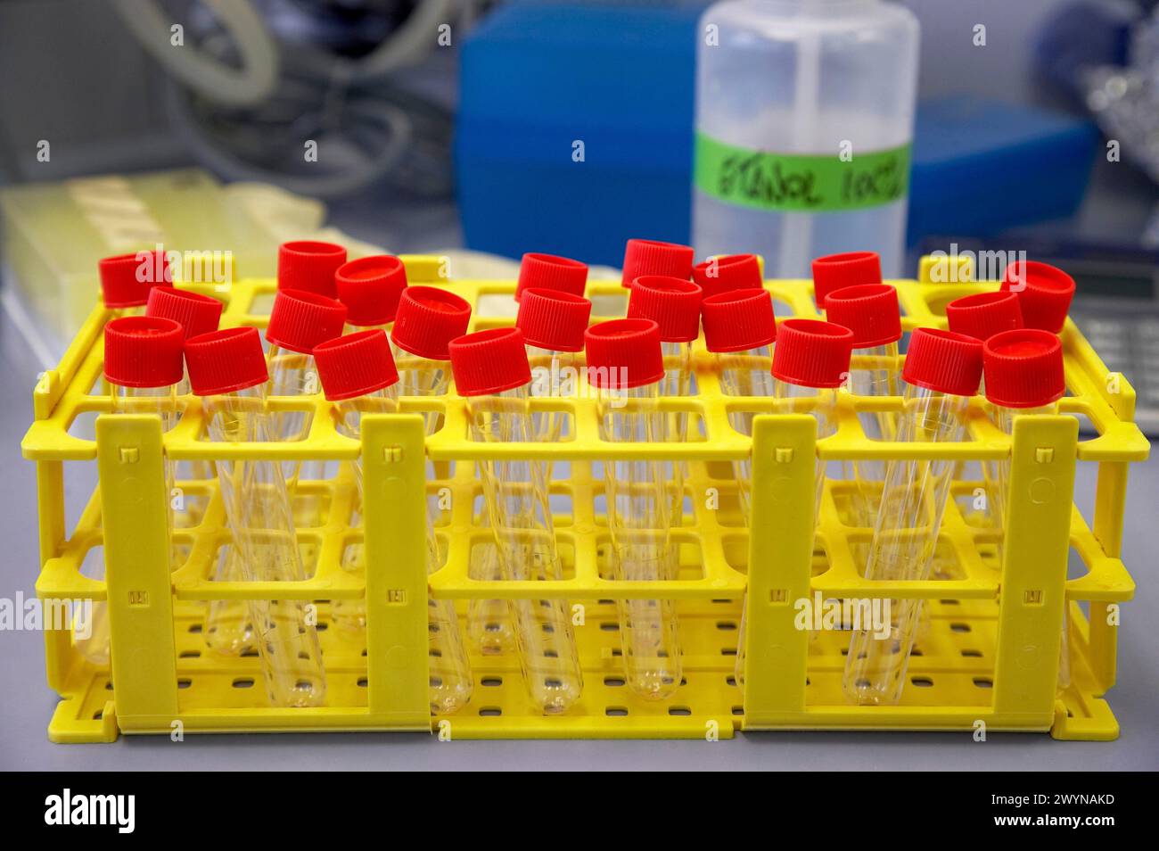 Biopharmaceutical laboratory, development and production of innovative ...