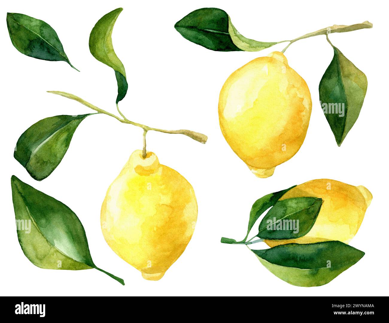 Stylish food packaging Cut Out Stock Images & Pictures - Alamy