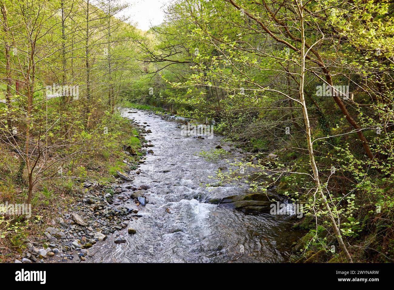 Arditurri Erreka, Oiartzun River, Aiako harria Natural Park, Oyarzun ...