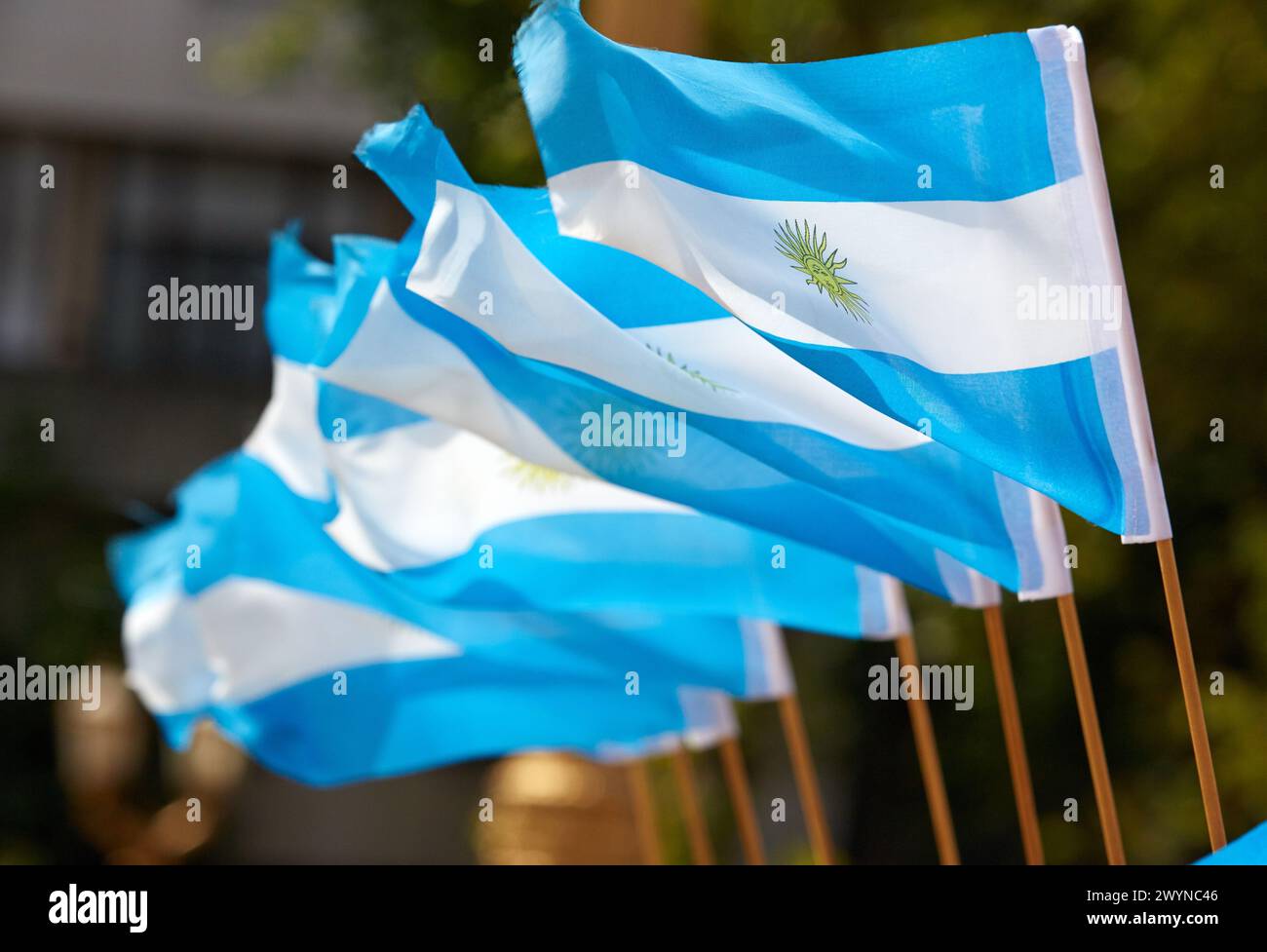 Argentine flags. Plaza de Mayo. Buenos Aires. Argentina Stock Photo - Alamy