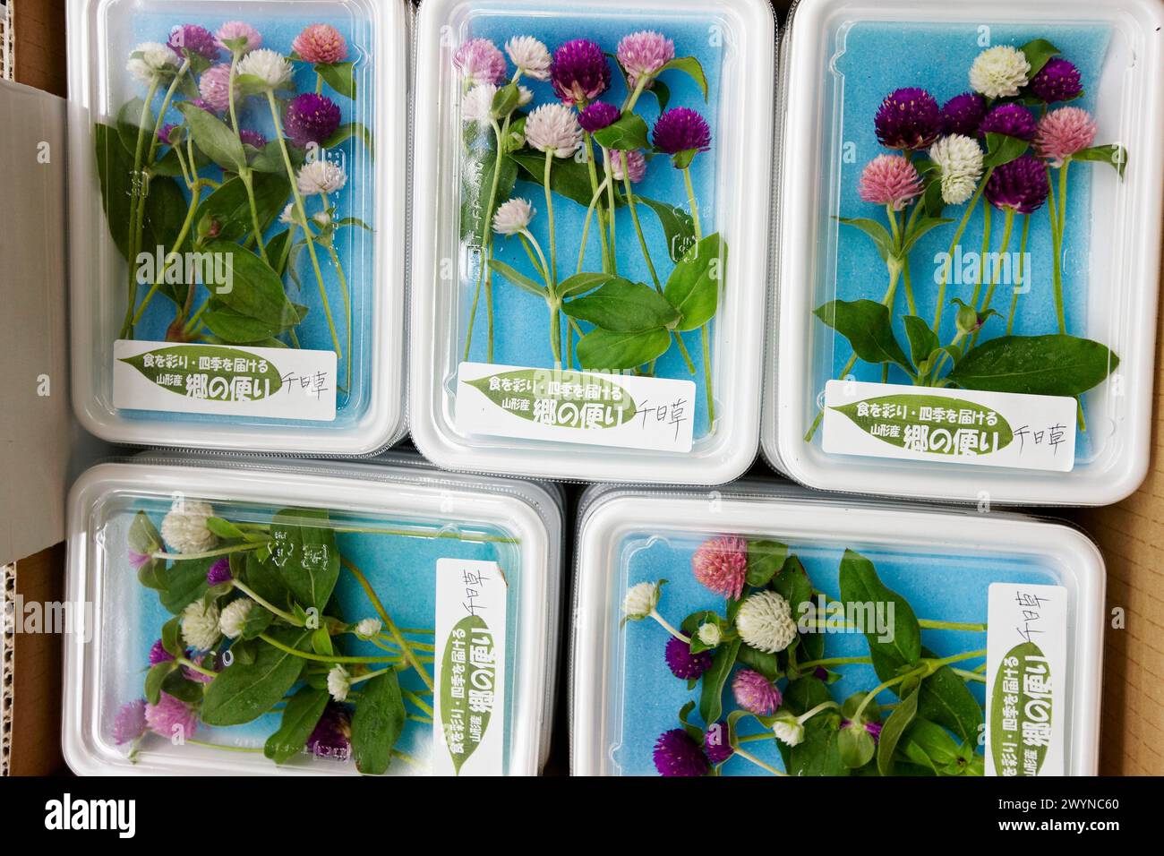 Edible flowers, Tsukiji vegetable market, Tokyo, Japan Stock Photo - Alamy