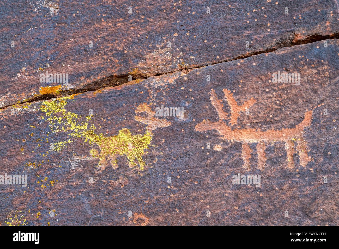Sinagua Indian petroglyphs (1150-1400 A.D.). V-Bar-V Ranch Heritage ...