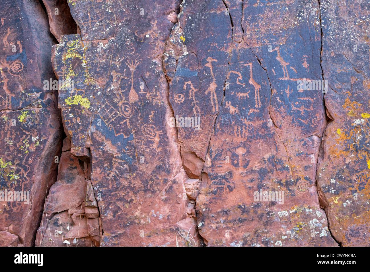 Sinagua Indian petroglyphs (1150-1400 A.D.). V-Bar-V Ranch Heritage ...