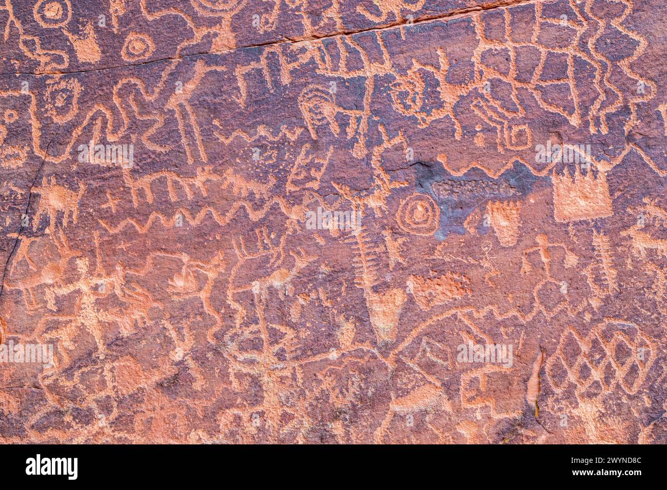 Sinagua Indian petroglyphs (1150-1400 A.D.). V-Bar-V Ranch Heritage ...
