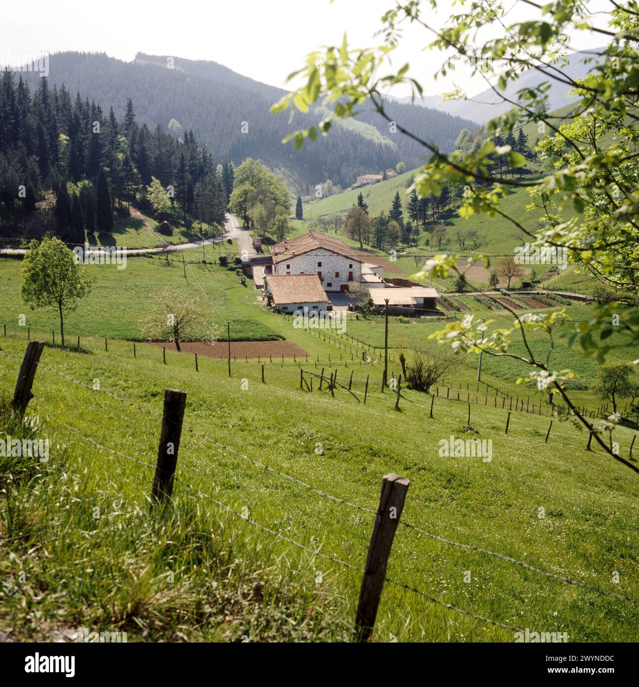 Caserios (typical country houses). Legazpi, Guipuzcoa, Basque country ...