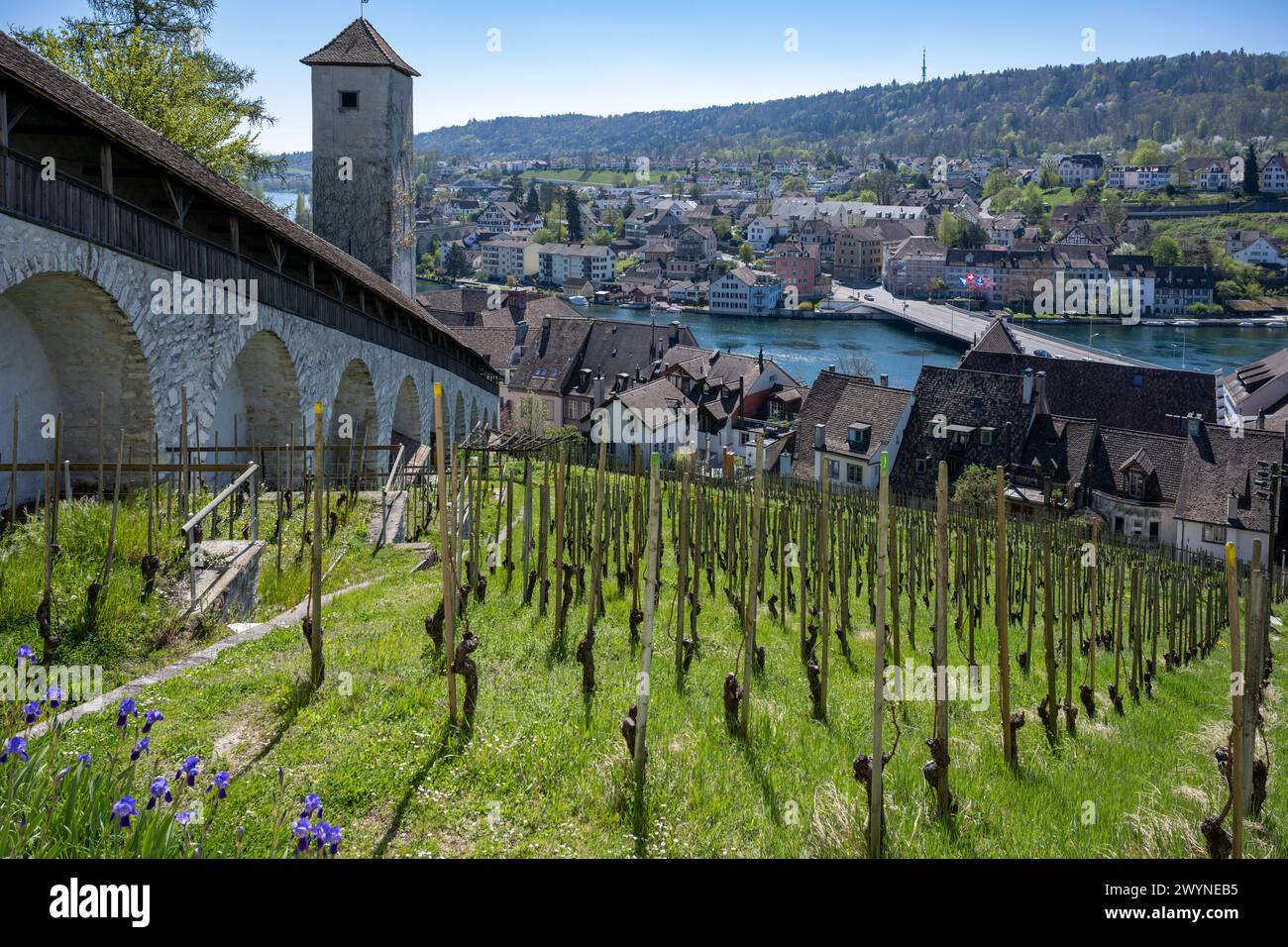 Munot, Schaffhausen, Switzerland, a circular 16th century fortification ...