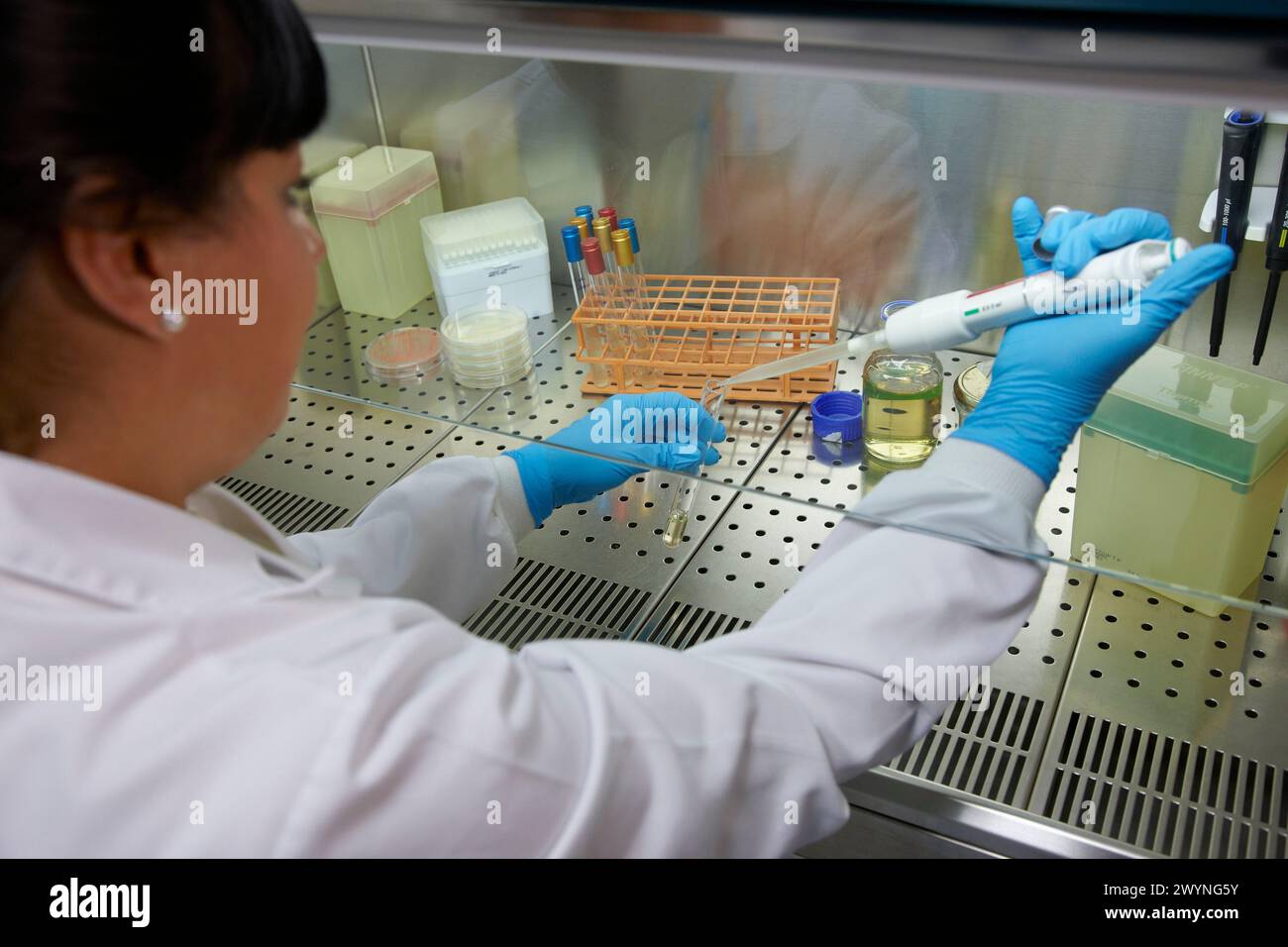 Cleanroom Microbiology Routine activities in laminar flow cabinet for ...