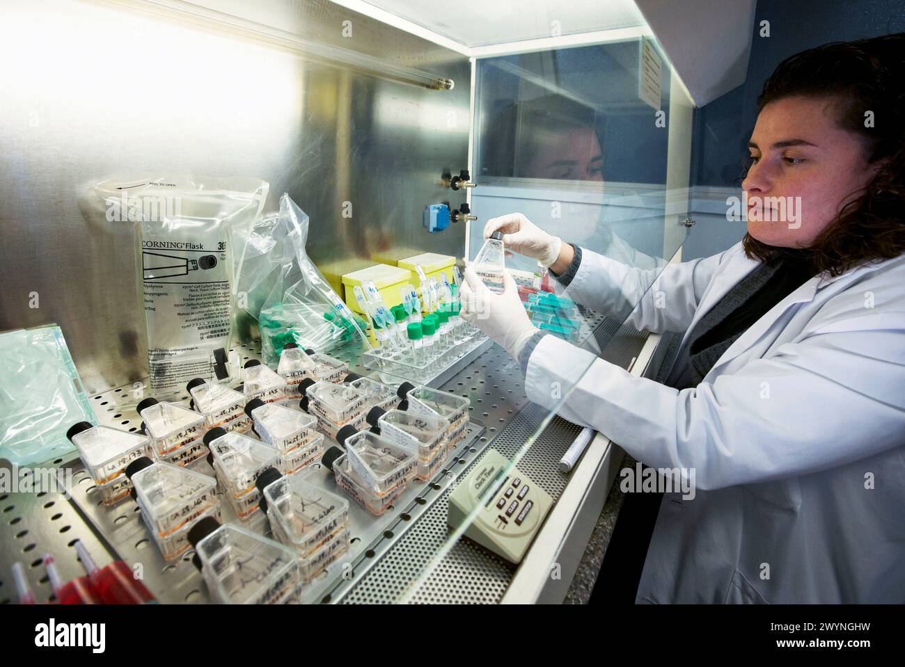 Cytogenetics laboratory hi-res stock photography and images - Alamy