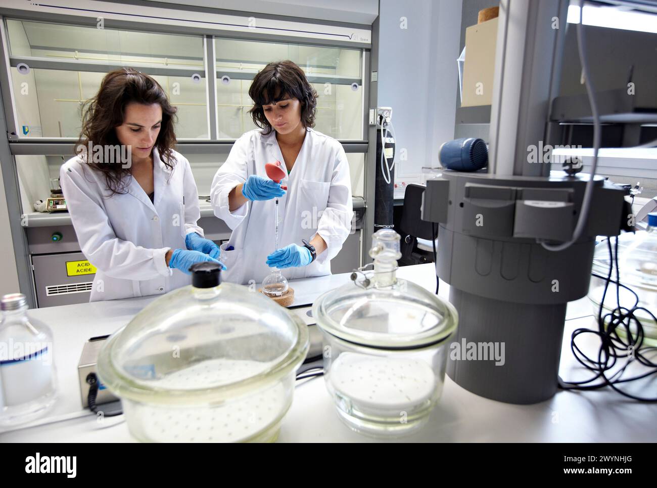 Polymer laboratory. Materials Physics Center is a joint center of the ...