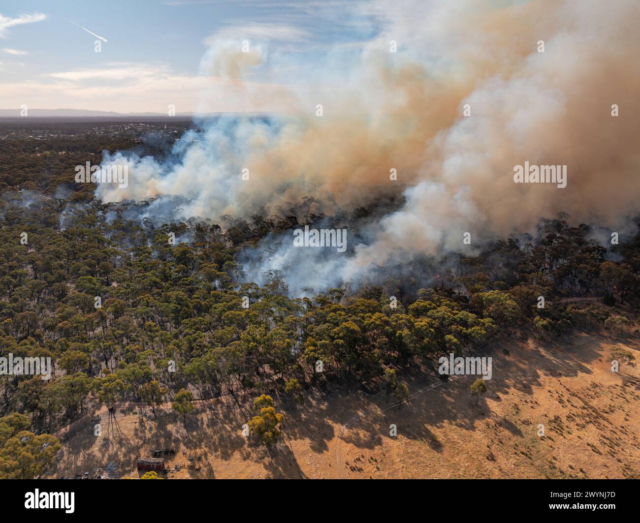 Aerial view of smoke billowing from a bushfire at Maryborough in ...