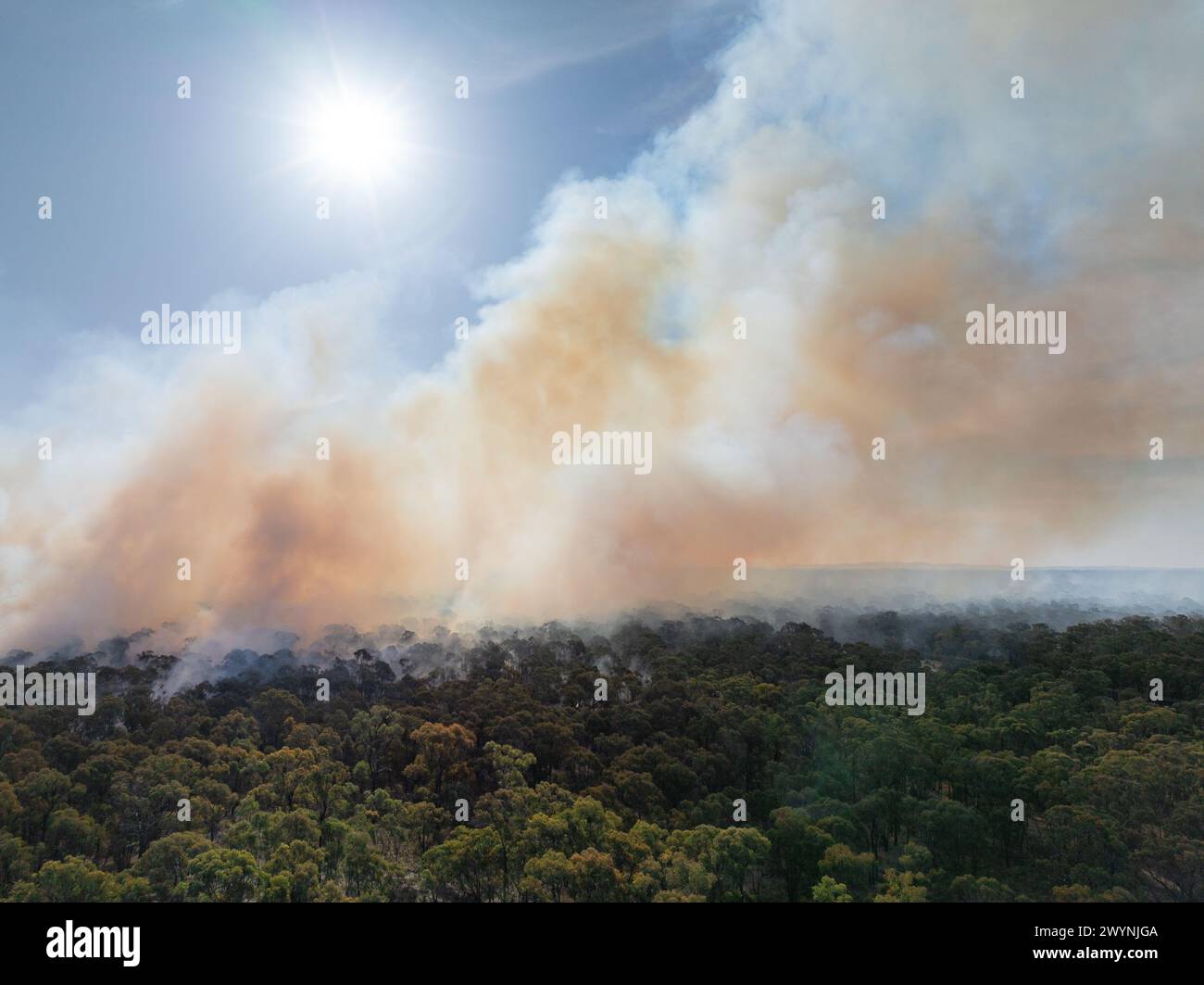 Aerial view of smoke billowing from a bushfire at Maryborough in ...