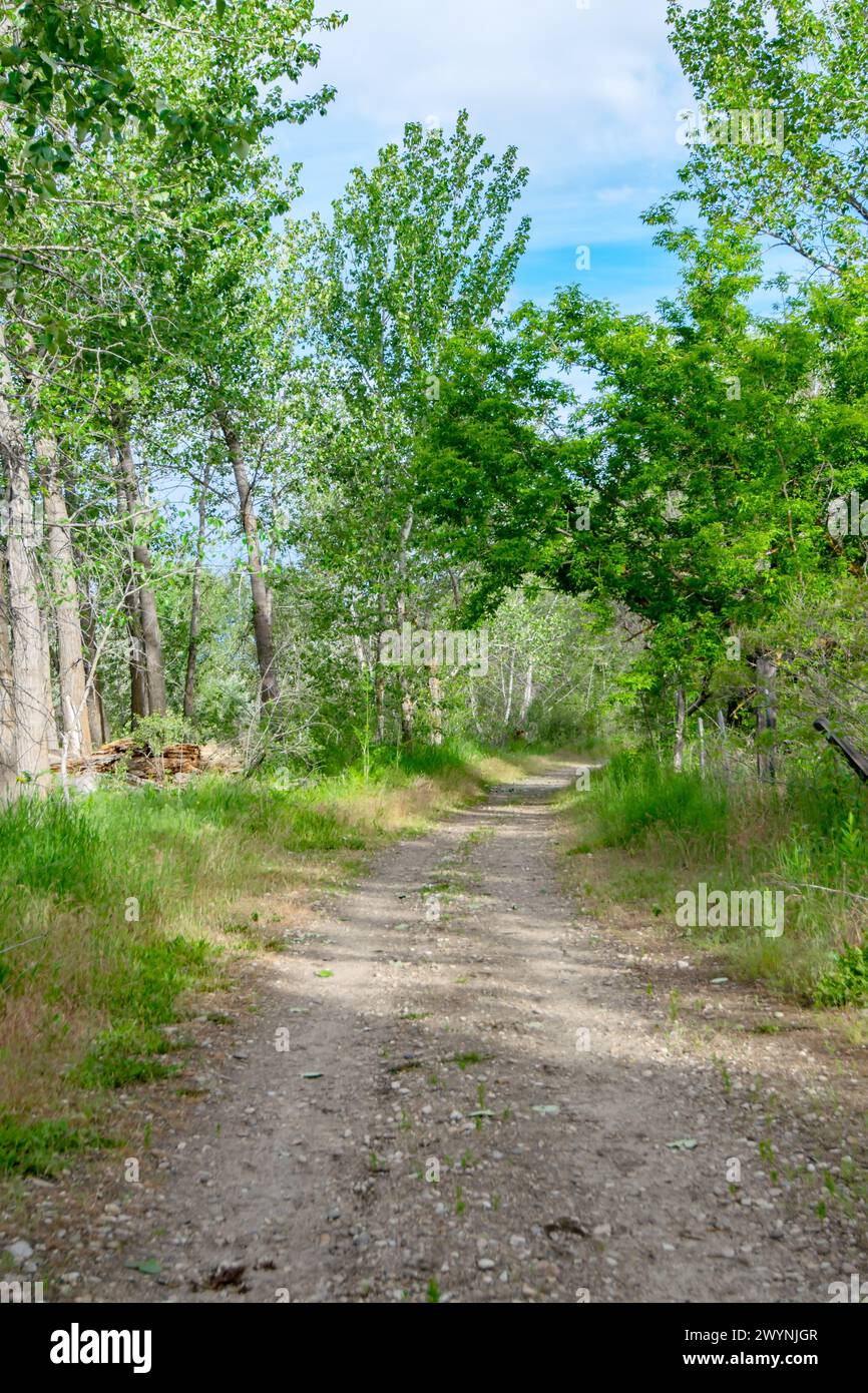 Walking trail in Eagle Island State Park, Idaho Stock Photo - Alamy