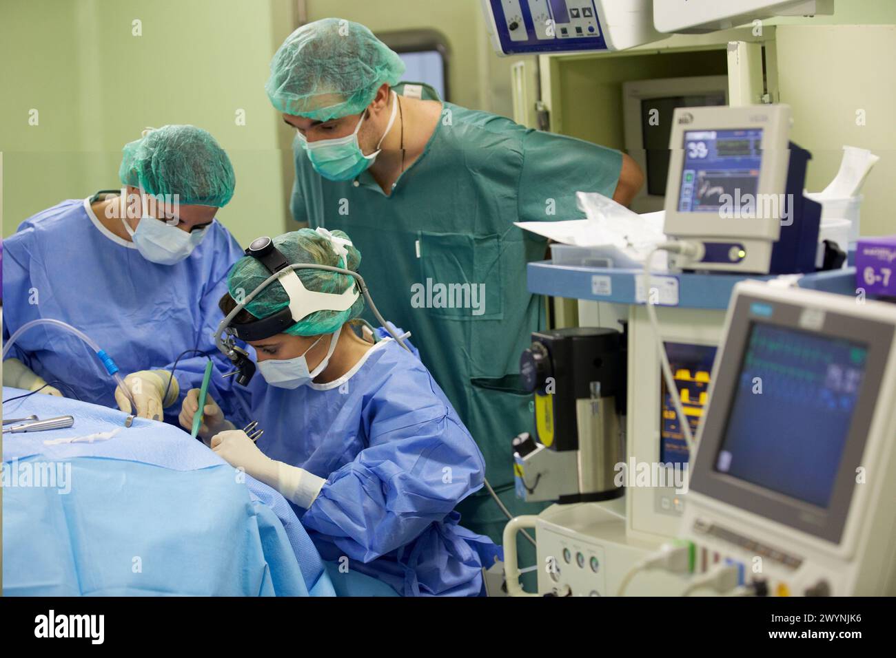 Tonsillectomy, Surgeons performing a tonsillectomy tonsil removal ...