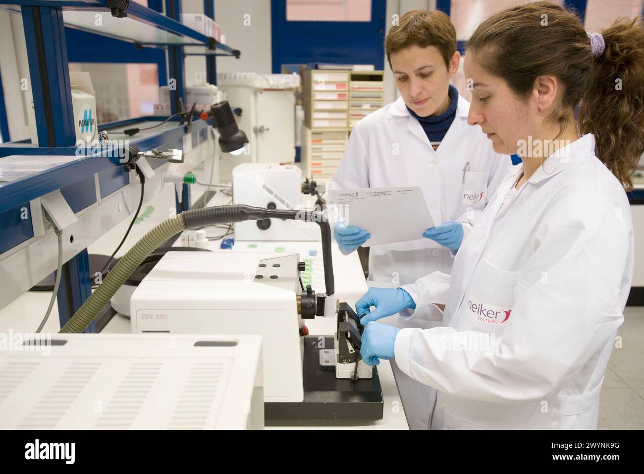 Preparing bull´s horn sample, Laboratory of Pathological anatomy ...