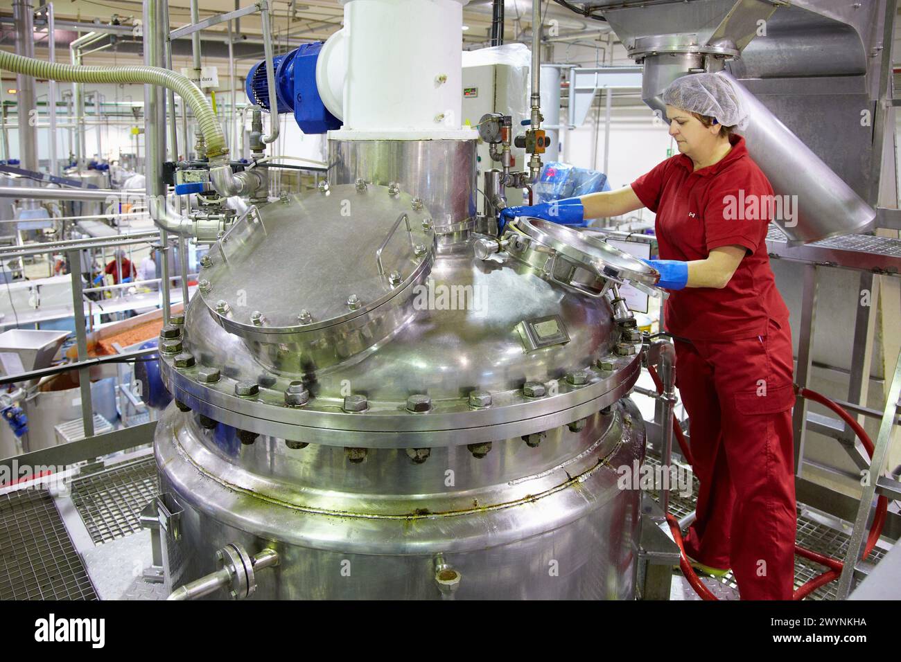 Production line of canned vegetables and beans in glass bottle, Cooked ...