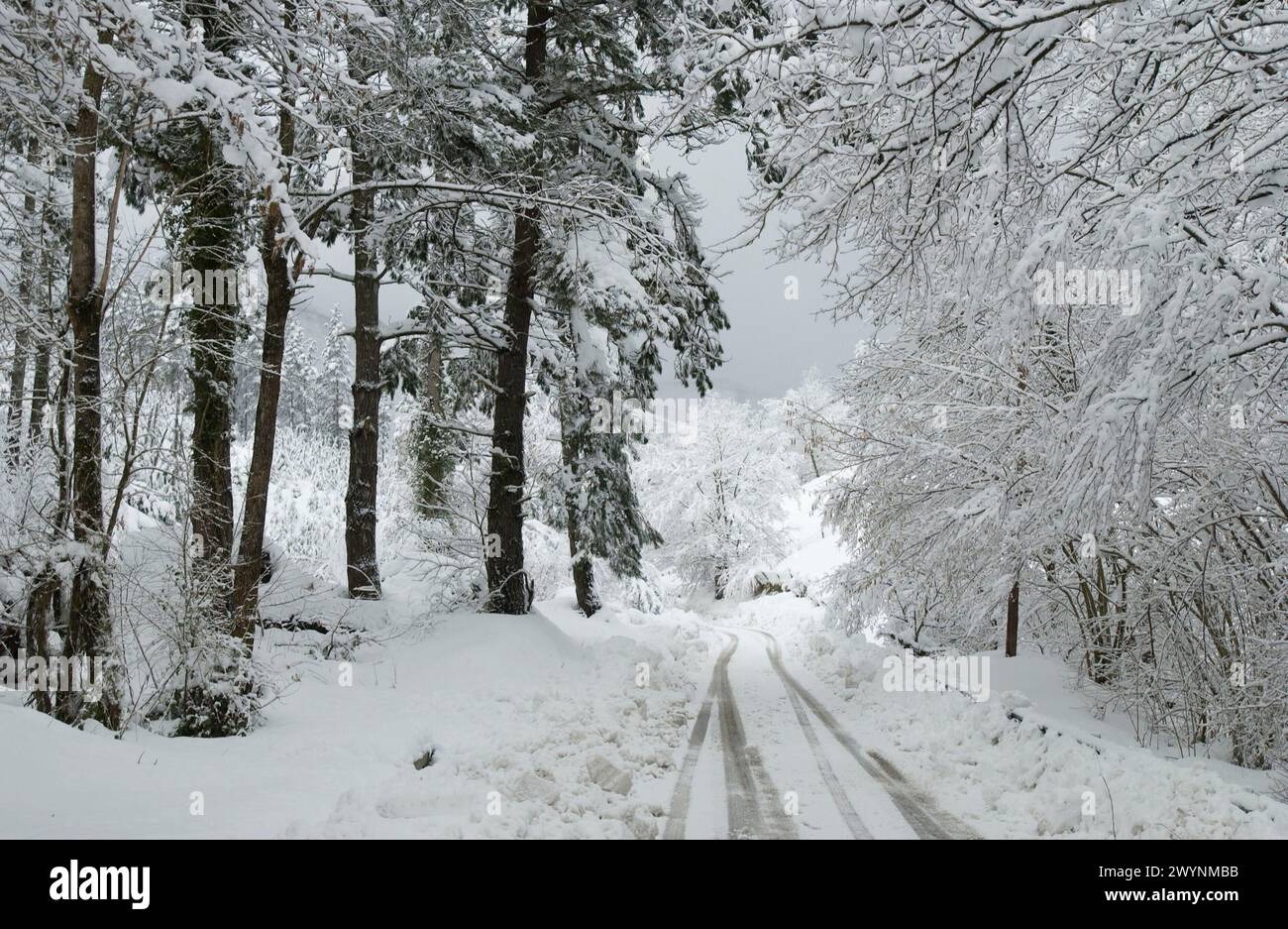 Road with snow, Legazpi. Guipúzcoa, Spain Stock Photo - Alamy