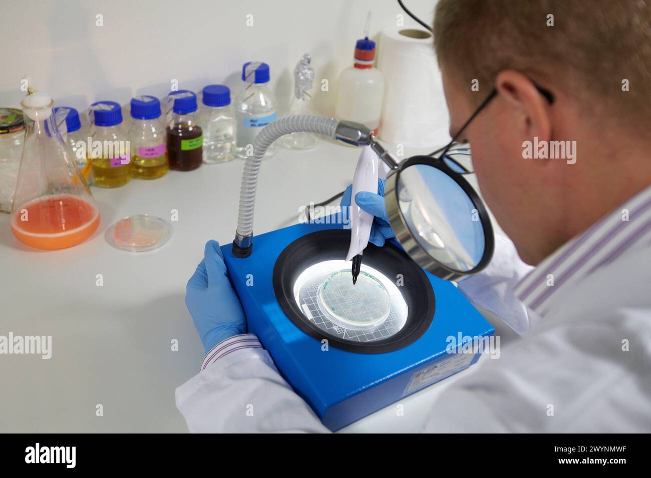 Microbiological count agar plate, Cleanroom Microbiology, Biotechnology ...
