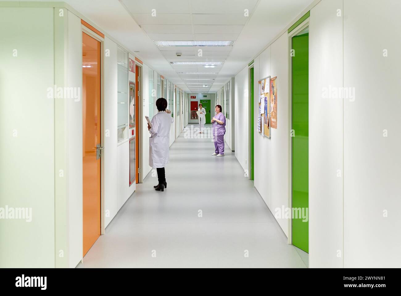 Anatomic Pathology, Hospital Donostia, San Sebastian, Gipuzkoa, Basque ...