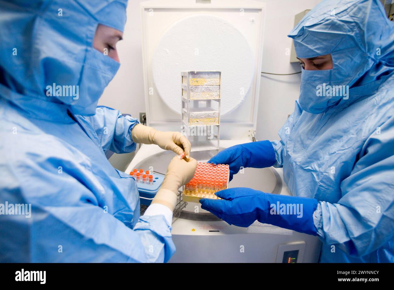 Cryonics cryopreservation samples in nitrogen hi-res stock photography ...