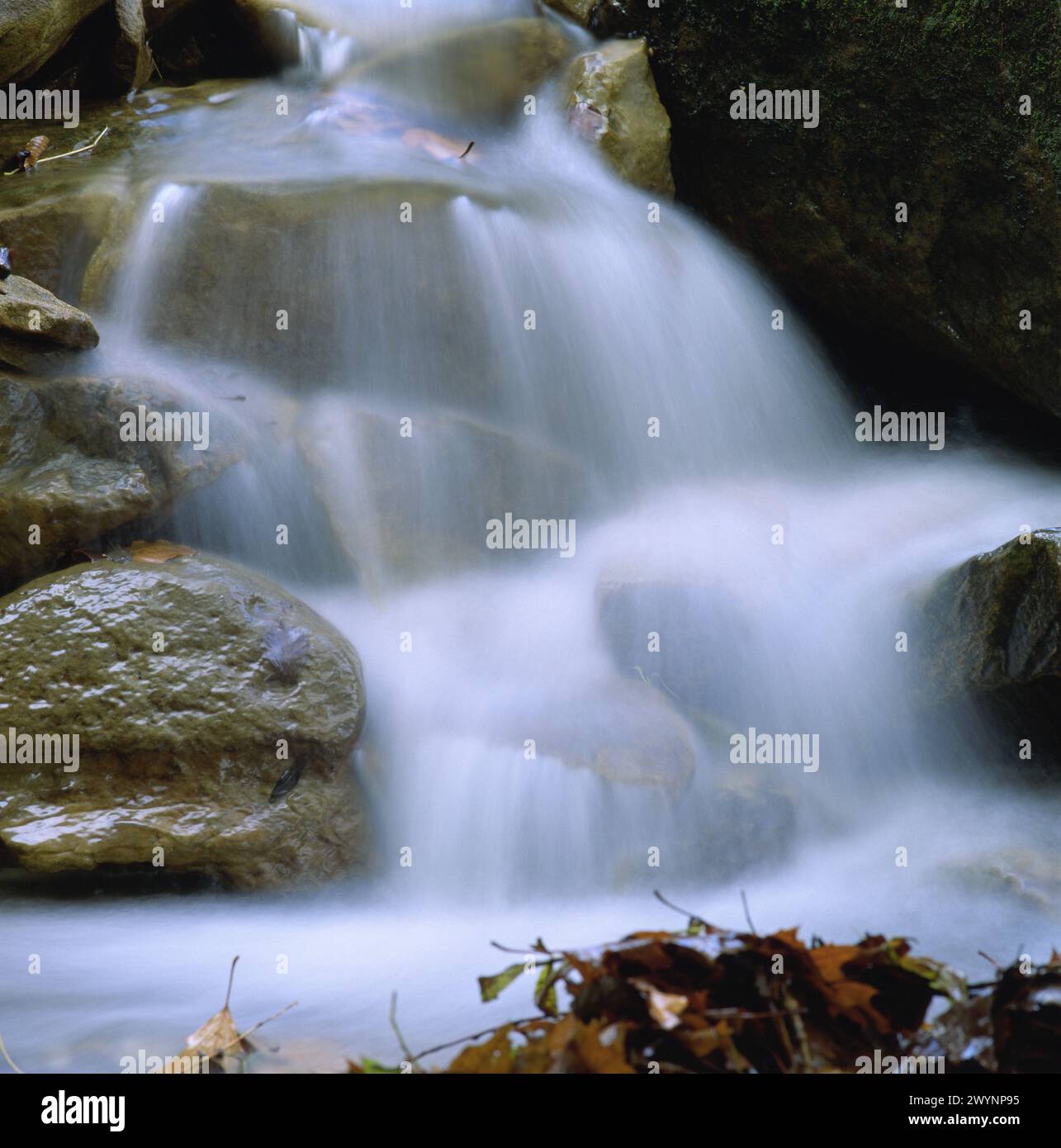Alzania River. Guipúzcoa. Spain Stock Photo - Alamy