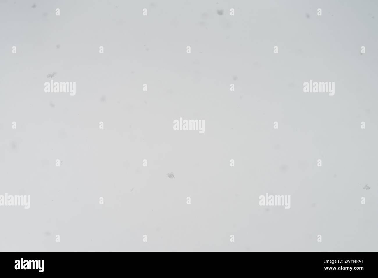 Maco shot snow falling hi-res stock photography and images - Alamy
