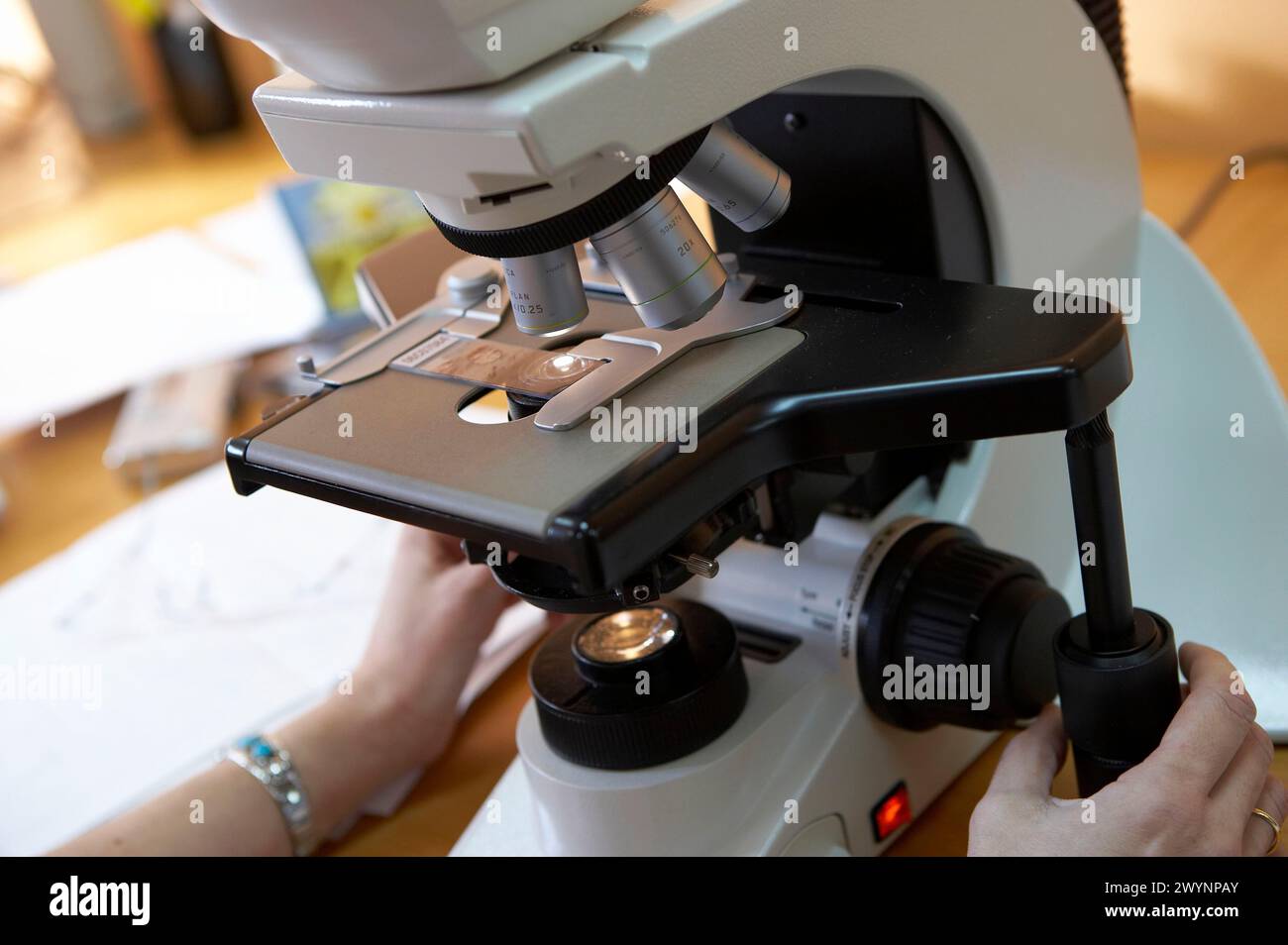 Microscopy, Pathological Anatomy, Hospital de Zumarraga Stock Photo - Alamy