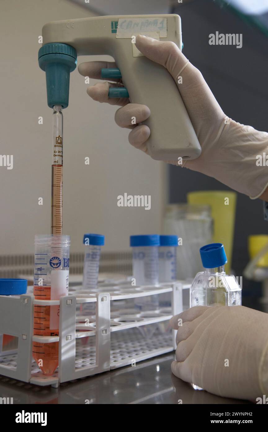 Taking samples with pipetus in laminar flow hood. Laboratory, Fundación ...