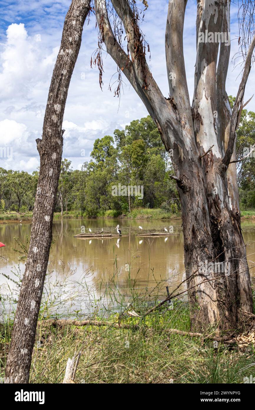 Western downs queensland hi-res stock photography and images - Alamy